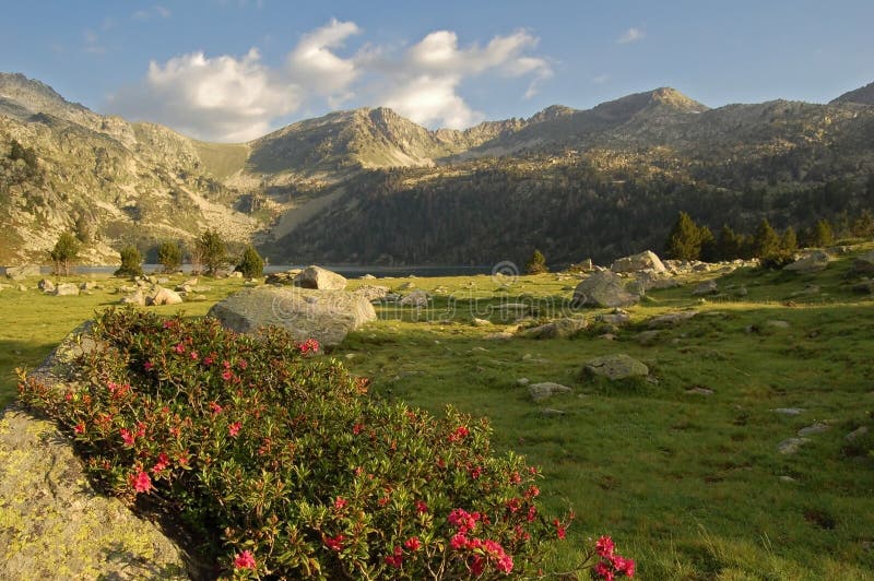 Pyrenees mountains stock image. Image of lake, summit - 1477173