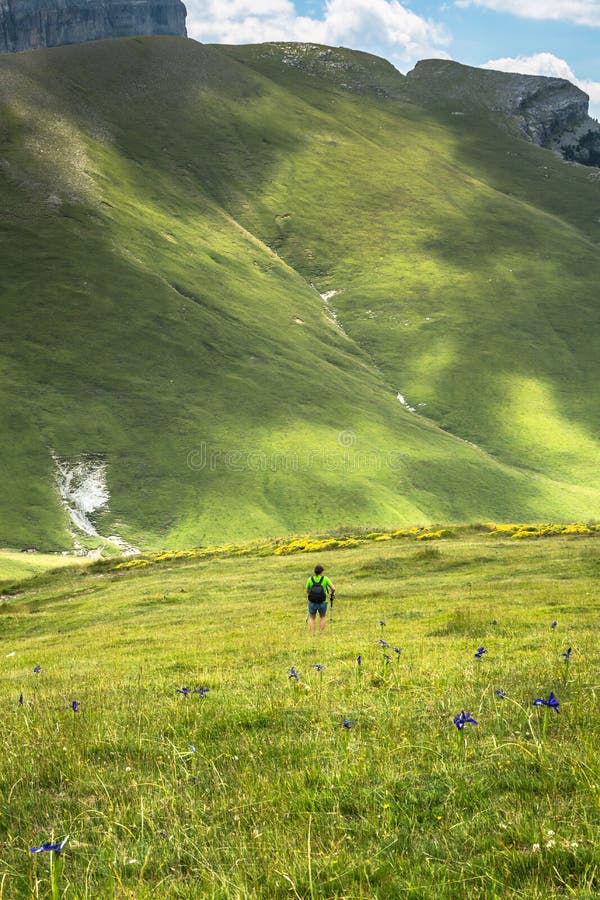 Pyrenees Mountains Landscape in Summer. Huesca, Agaron Stock Image ...