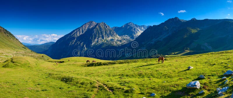 Pyrenees mountains stock photo. Image of mountains, feeding - 37679728