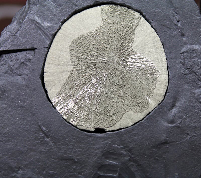 57,962 Crystal Sun Stock Photos - Free & Royalty-Free Stock Photos from ...