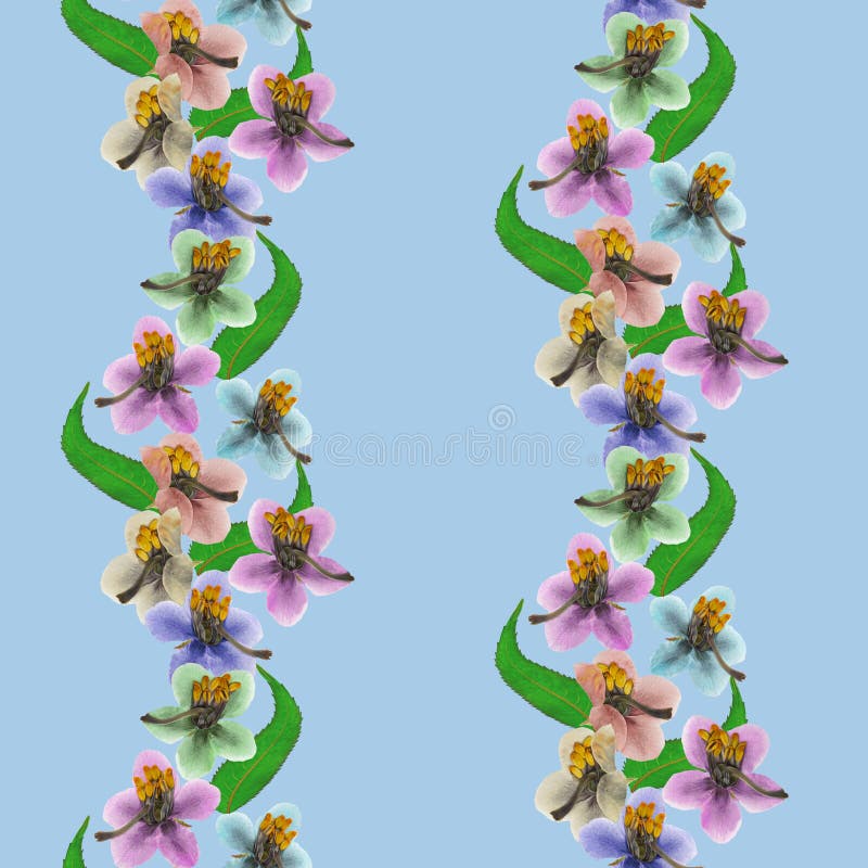 Pyrola. Seamless Pattern Texture of Flowers. Floral Background, Photo ...