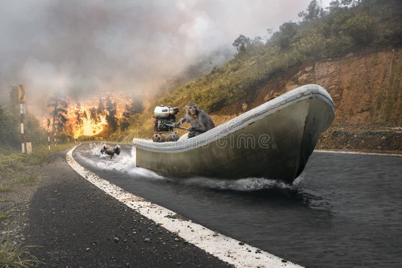 Pyromaniac Monkey Running Away from Fire Stock Image - Image of ...