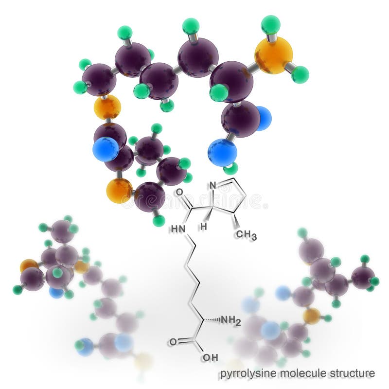Pyrrolysine Molecule Structure Stock Illustration - Illustration of ...