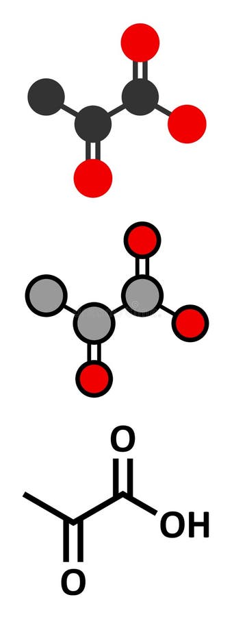 Pyruvic Acid Pyruvate Molecule. Structural Chemical Formula an Stock ...
