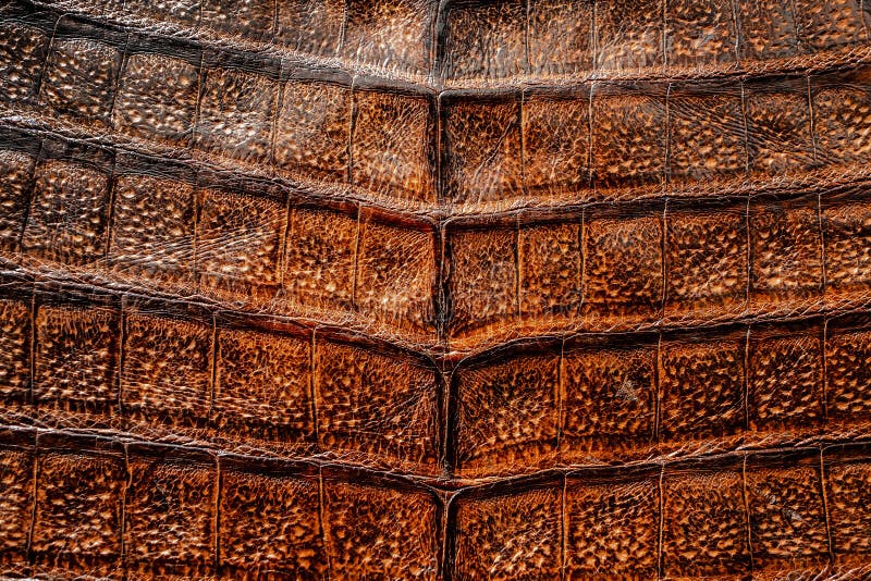 Python Leather Background. Snake Skin Pattern Texture. Reptile Leather ...