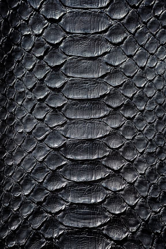 1,503 Snake Cobra Skin Texture Stock Photos - Free & Royalty-Free Stock ...