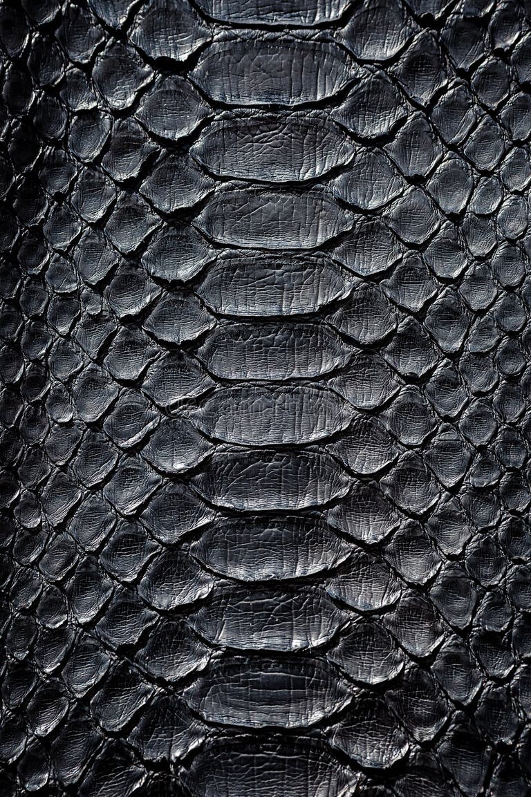 1,503 Snake Cobra Skin Texture Stock Photos - Free & Royalty-Free Stock ...