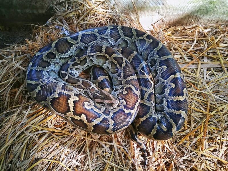 Sleepy Hollow stock photo. Image of laziness, nature - 28677914