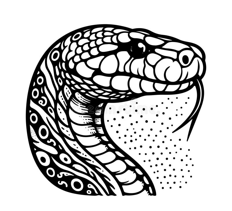 Python Snake Hand Drawn Vector Graphic Asset Stock Vector ...