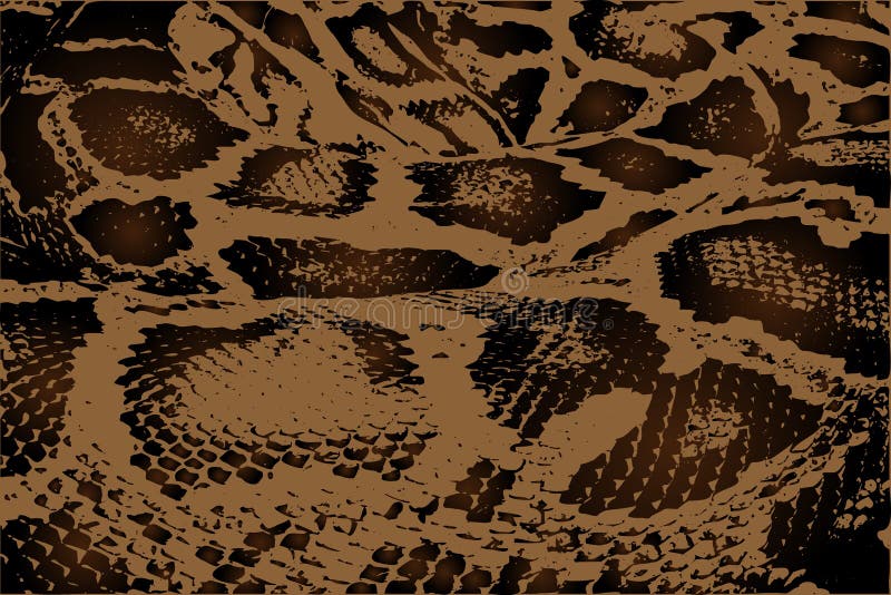 Python Stock Illustrations – 29,000 Python Stock Illustrations, Vectors ...