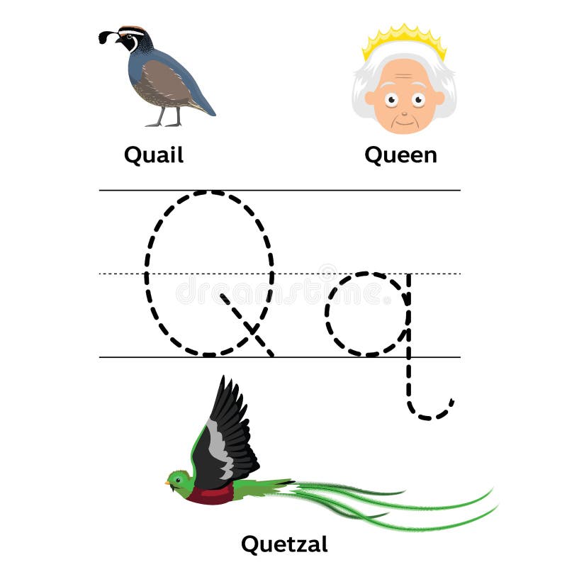 Q Alphabet English Letter Tracing Learning Vector Preschool Stock ...