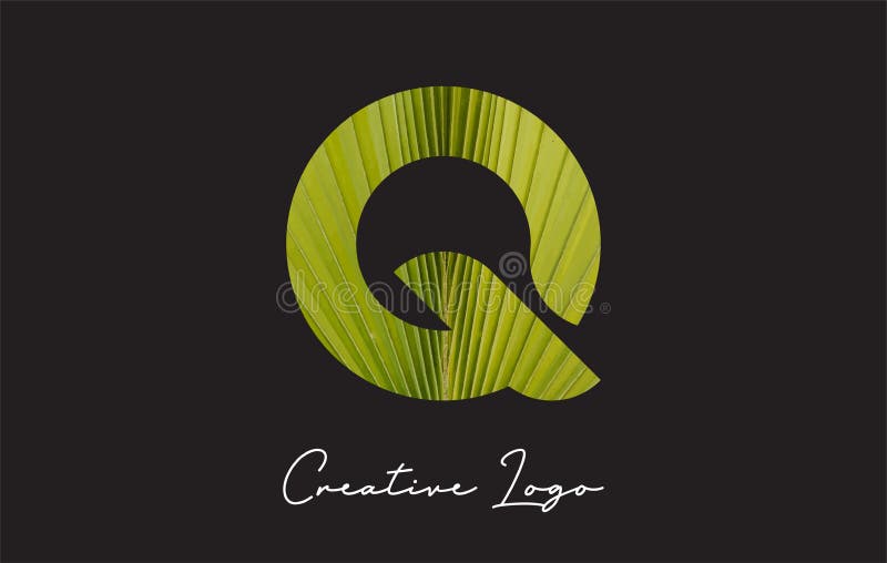 Q Letter Logo with Palm Tree Leaf Pattern Design Stock Vector ...