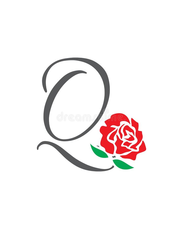 Q Rose Stock Illustrations – 224 Q Rose Stock Illustrations, Vectors ...