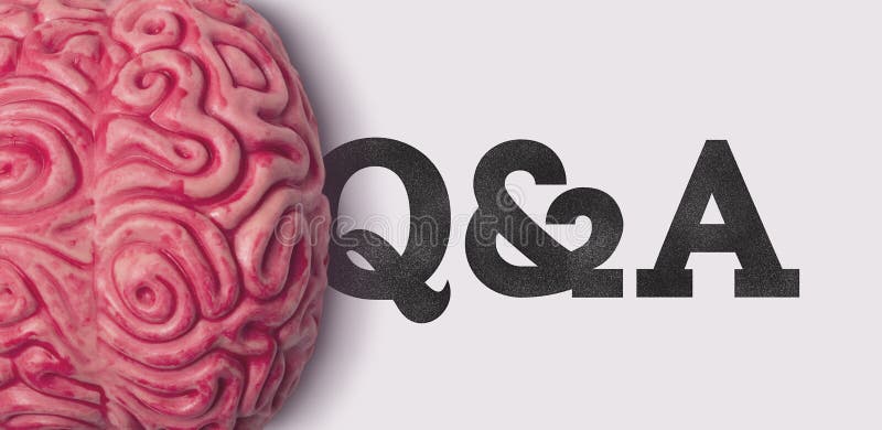 Q and a Word Next To a Human Brain Model Stock Photo - Image of organ ...