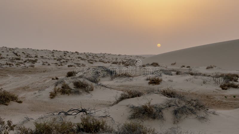 Qatar Sea Line Desert Landscape during Sunset. Selective Focus Stock ...