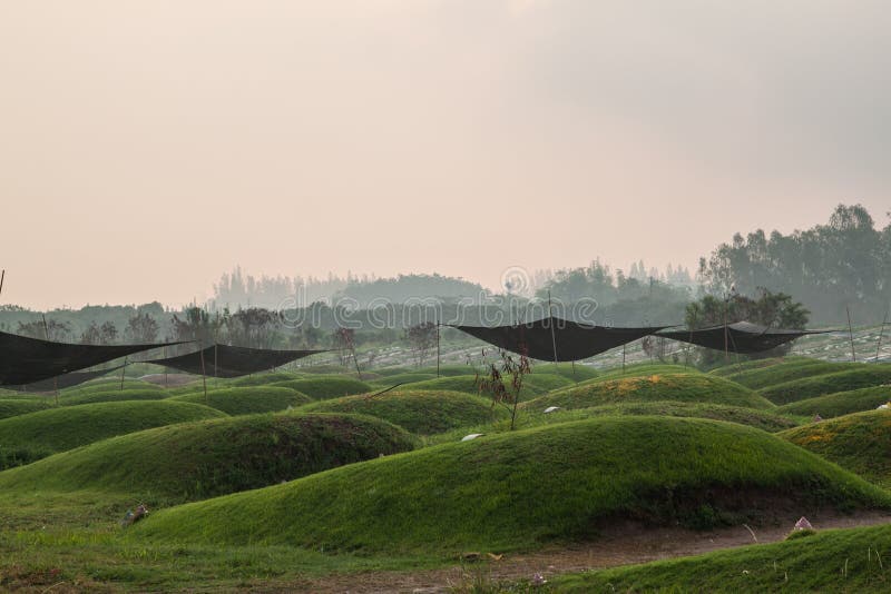 Qingming Day stock image. Image of qingming, grave, festival - 53000505