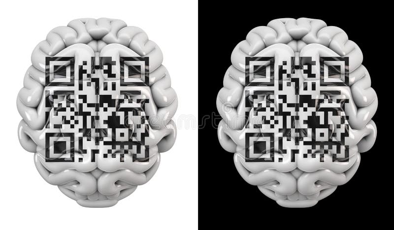 QR code brain stock illustration. Illustration of knowledge - 43491520