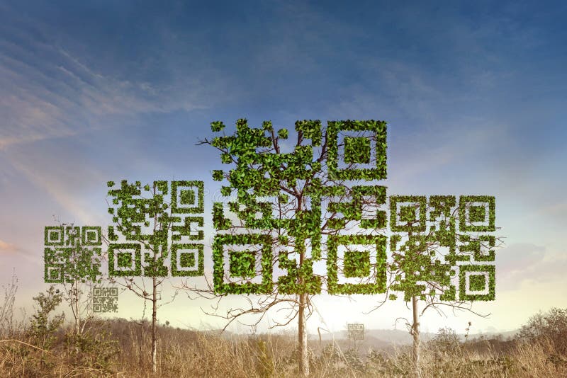 QR Code Tree with a Symbol in the Dry Forest Background. Technology ...