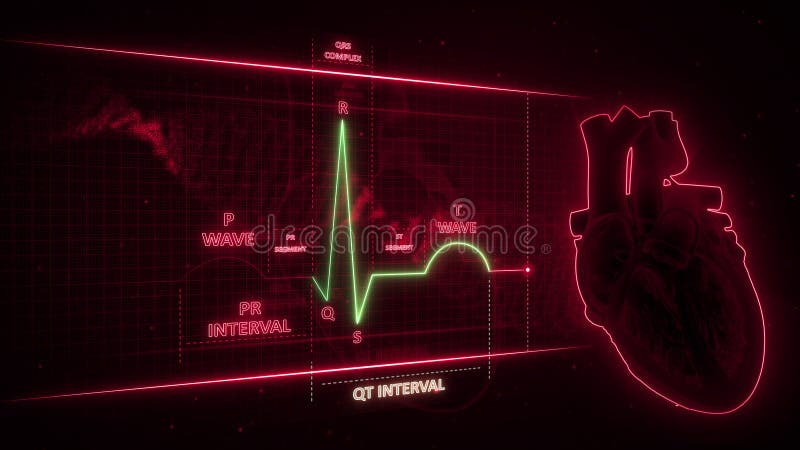 QT Interval of Electrocardiogram Wave or ECG or EKG Stock Illustration ...