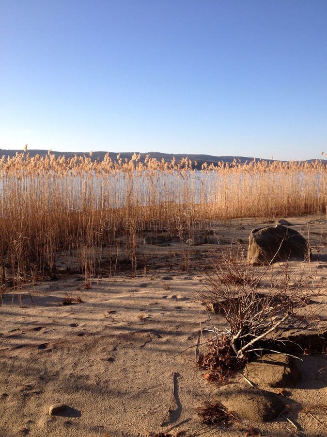 Quabbin Reservoir Shoreline Gate Stock Photos - Free & Royalty-Free ...