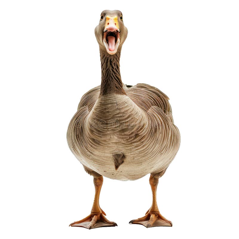 Compositing Ai Stock Illustrations – 570 Compositing Ai Stock ...