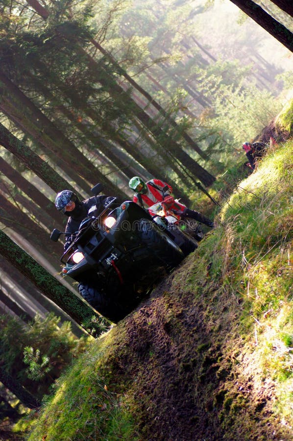 Quad Bikes Racing in Forest Stock Image - Image of races, forested ...