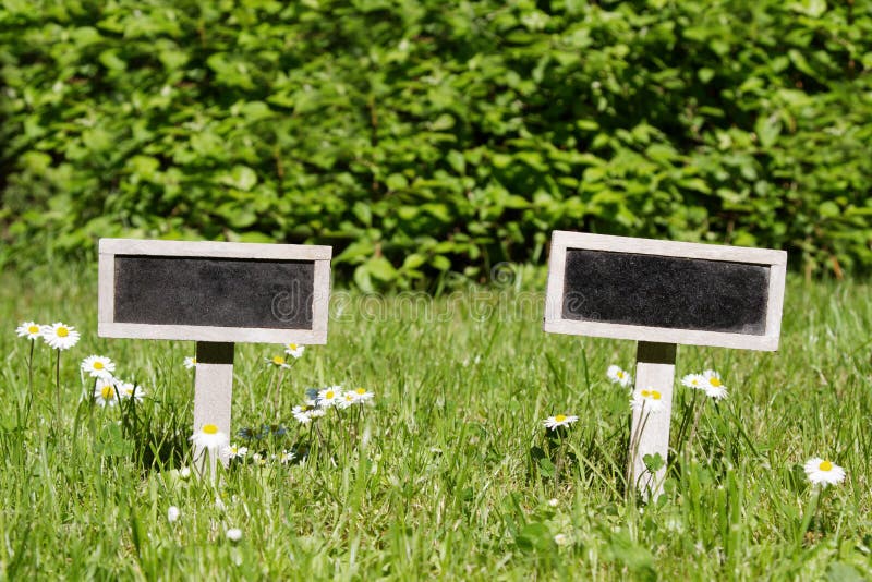 Quadro Indicador Vazio No Prado Imagem de Stock - Imagem de quadro ...