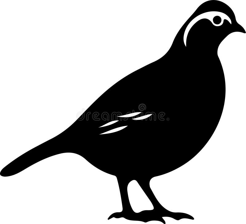 Quail Black Silhouette Vector Illustration. Stock Illustration ...