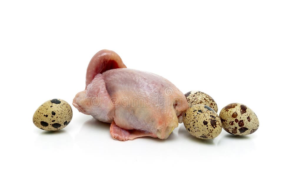 Quail Carcass and Eggs on a White Background Stock Image - Image of ...