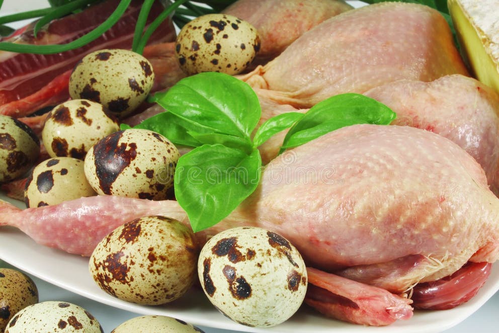 Quail carcasses and eggs stock photo. Image of cuisine - 27908762