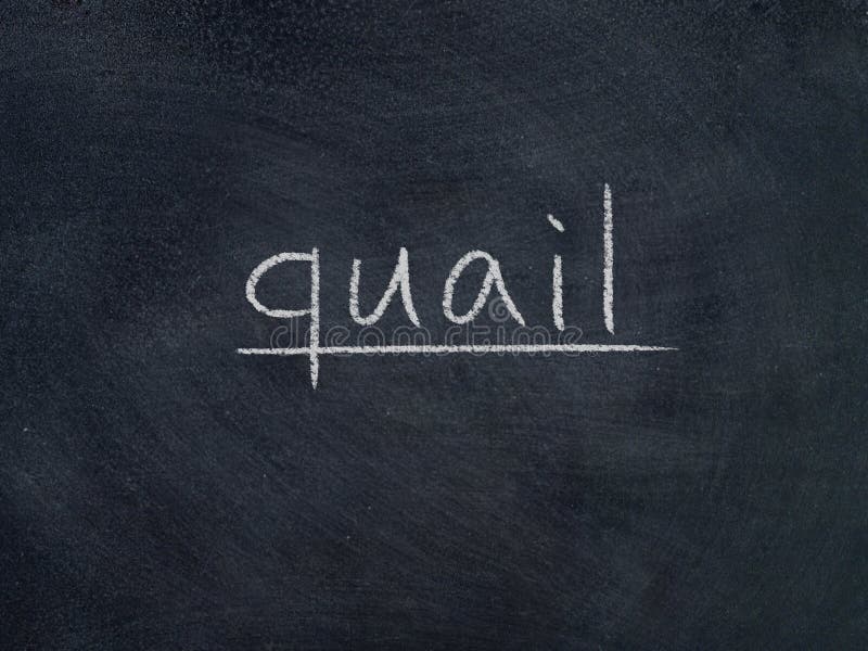 Quail stock illustration. Illustration of background - 241499517