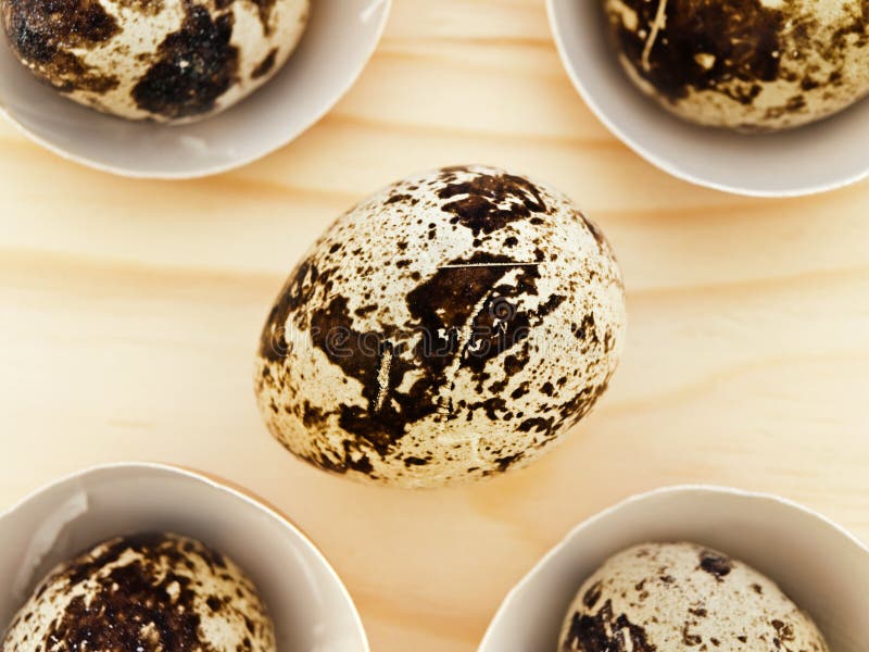 Quail egg stock photo. Image of nutritive, healthy, diet - 12922494