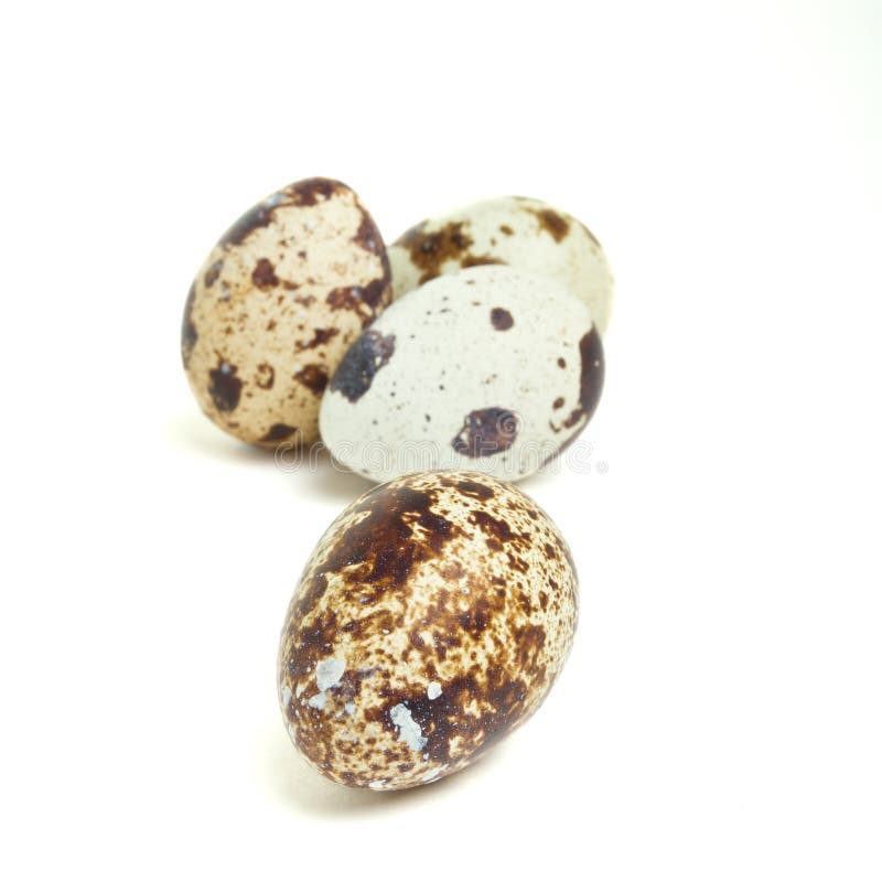 Quail Egg stock image. Image of organic, mottled, ingredient - 17511313