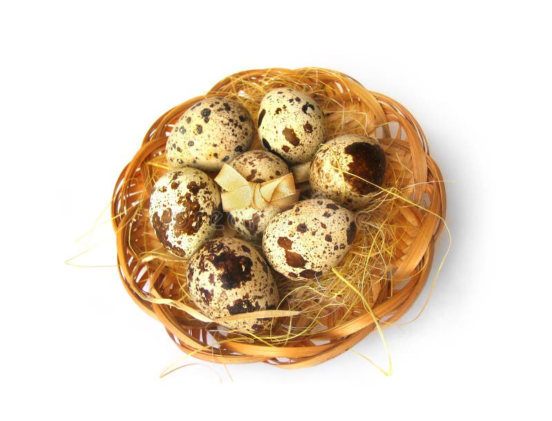 Quail Egg Pack stock photo. Image of variegated, cuisine - 4221374