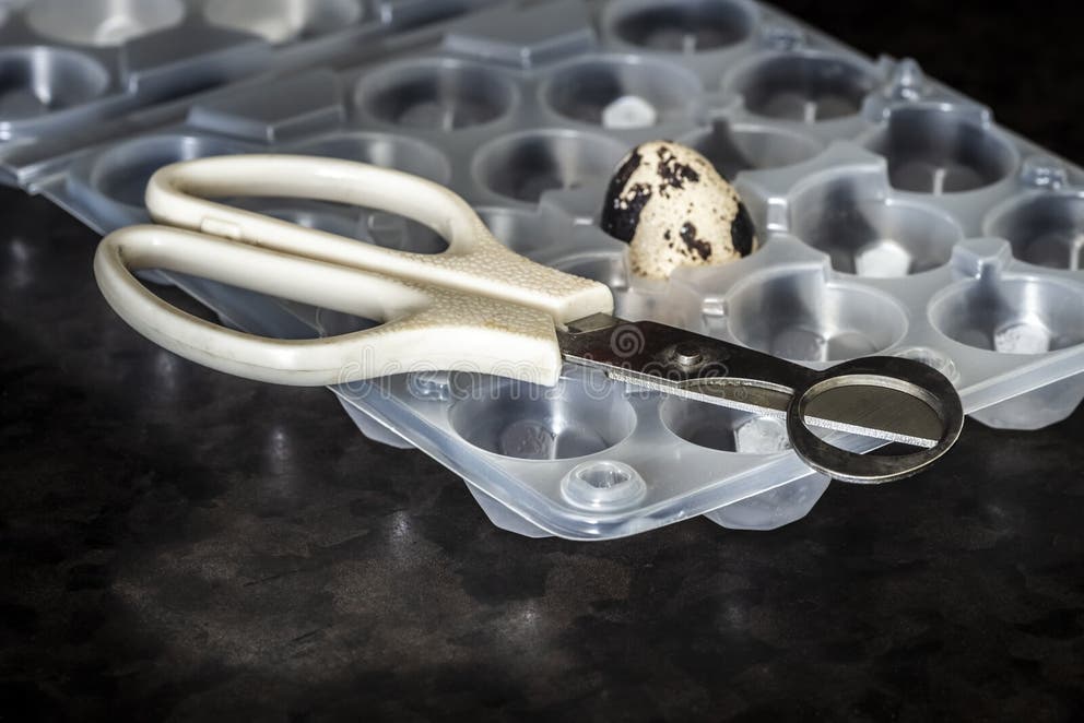 Quail Egg and Dissection Scissors Stock Image - Image of meal ...