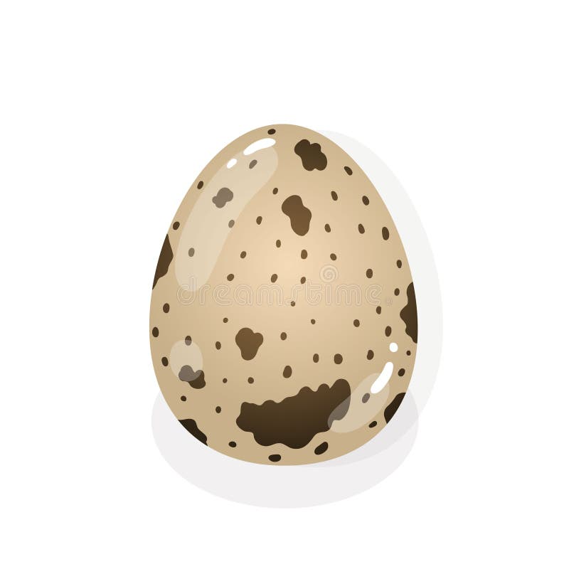 Quail Egg Stock Illustrations – 1,194 Quail Egg Stock Illustrations ...