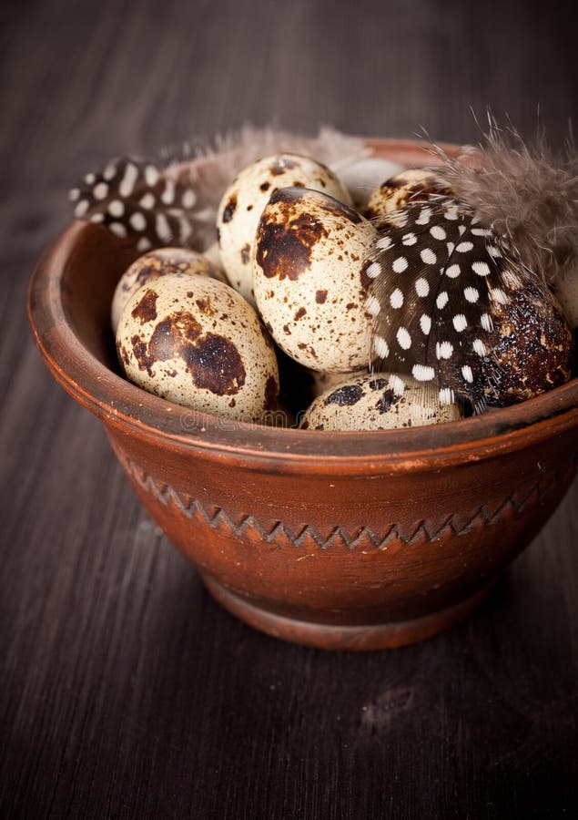Quail eggs stock photo. Image of food, shell, smooth - 29156104