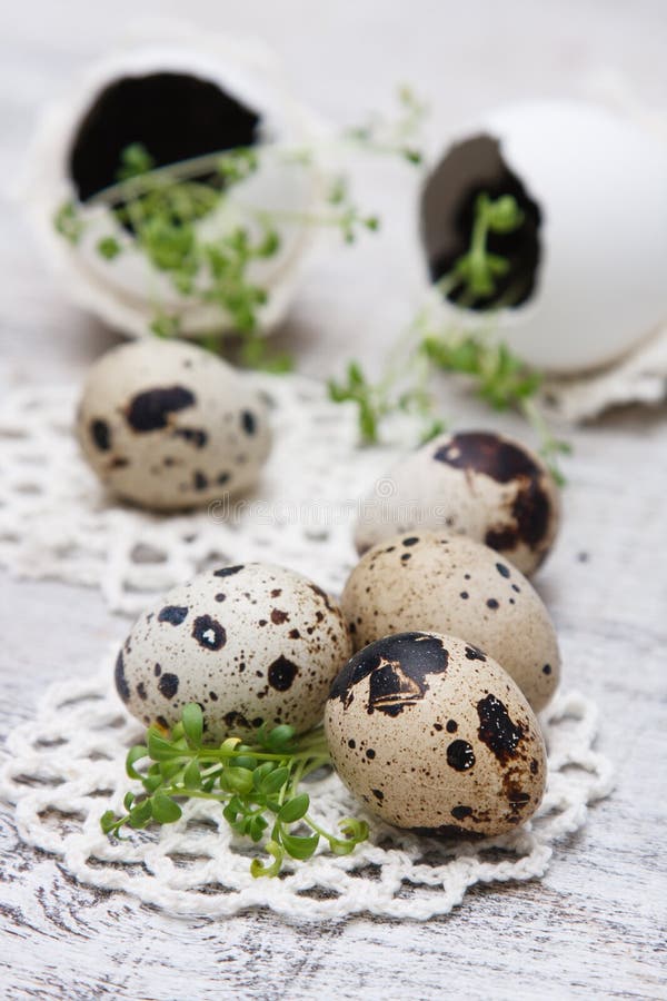 Quail eggs stock image. Image of nature, bird, chicken - 29475349