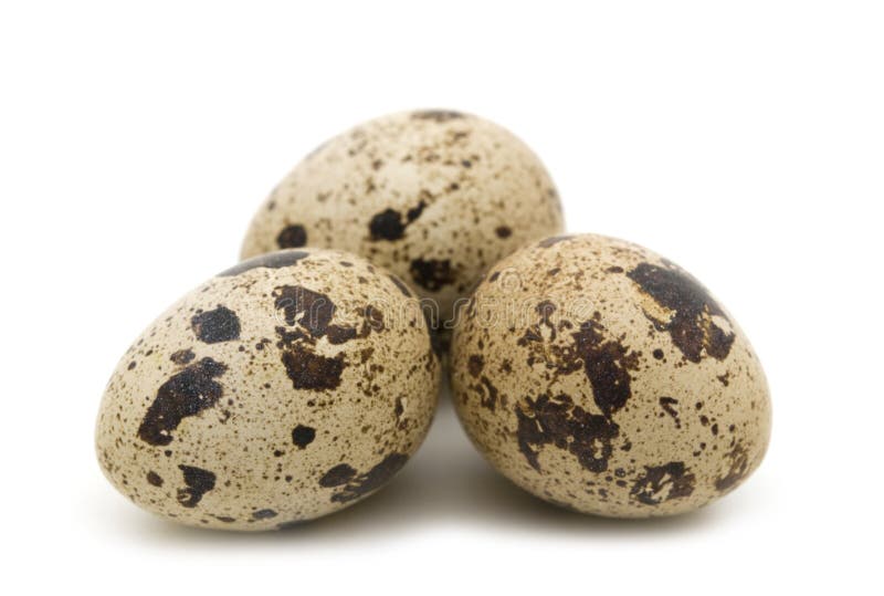 Quail eggs stock image. Image of shell, protein, food - 7628209