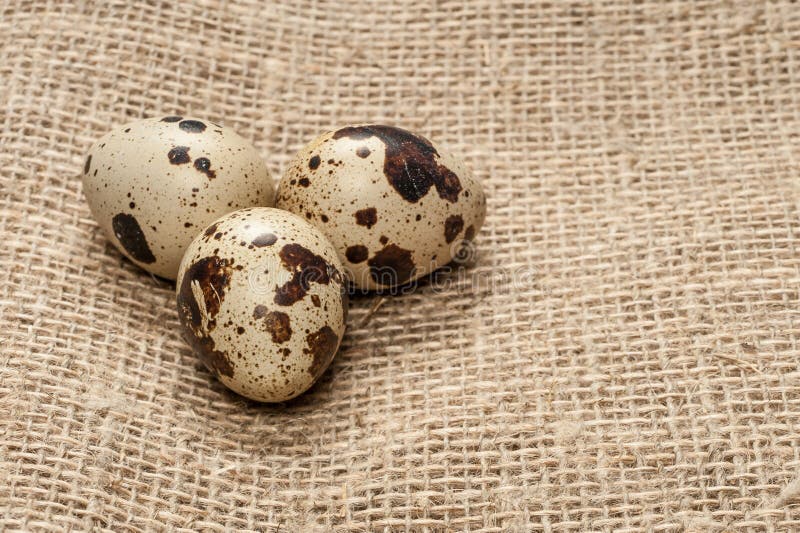 Quail Eggs on Burlap Texture Background Stock Image - Image of healthy ...