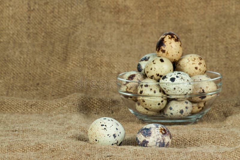 Quail eggs close up stock image. Image of nature, quail - 86590437