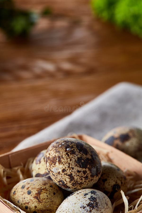 Quail Eggs in the Container Over Rustic Wooden Table, Close-up, High ...