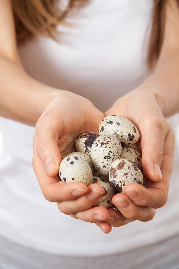 Quail eggs in hands stock photo. Image of closeup, delicatessen - 40231368