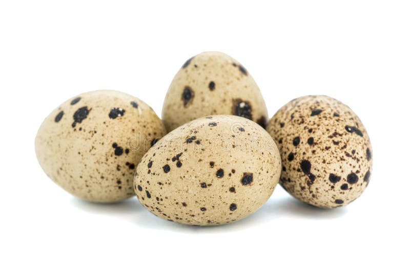 Quail Eggs Isolated on White Background. Eggs Quail Spotted Small on ...