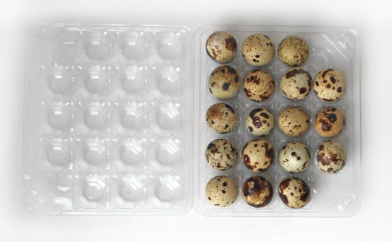 Quail Egg Pack stock photo. Image of variegated, cuisine - 4221374