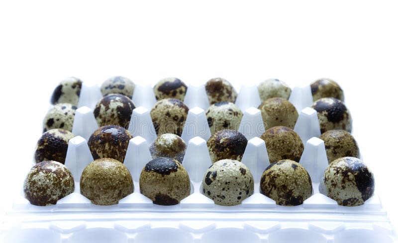 Quail Egg Pack stock photo. Image of variegated, cuisine - 4221374