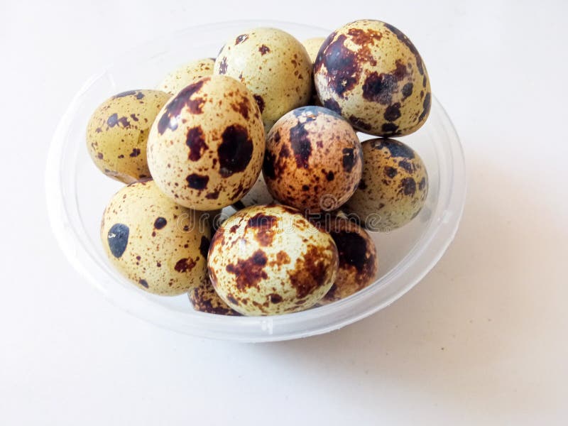 Quail Eggs Source of Protein Isolate on White Stock Image - Image of ...