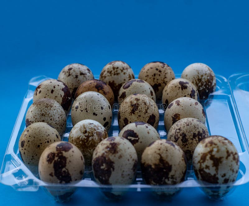 Ice Background Close-up View. Colorful Ice. Abstract Ice Texture ...