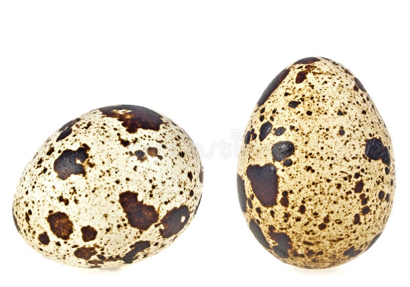 Quail Eggs On White Background Stock Image Image Of Delicatessen