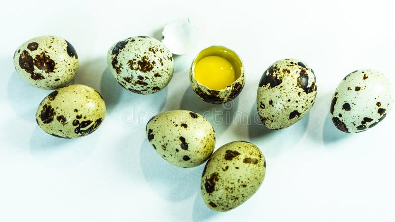 Quail Eggs On A White Background Egg On A White Background In The